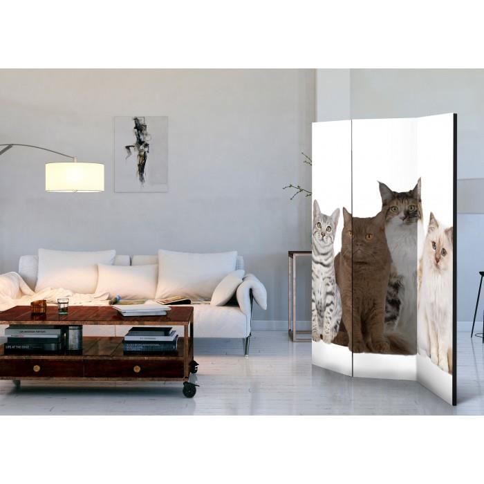 Paravent 3 Volets Paravents 3 Volets Style Mesure 135x172 Sweet Cats