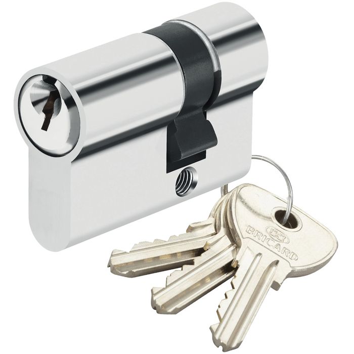Cylindre de sécurité pour porte barillet x mm Alpha Bricard Protection renforcée clés