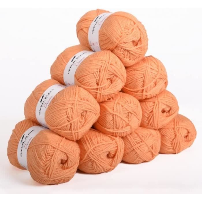 Laines Cheval Blanc DIANE Lot 10 pelotes de fil à tricoter 50g Fil