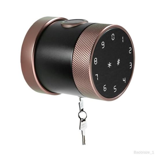 Serrure de porte à empreintes digitales serrure intelligente Anti verrouillage poignée de