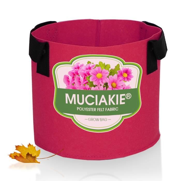 Rose rouge gallons D xH cm Sacs de Culture Économique Intérieur Extérieur Jardin Fleurs