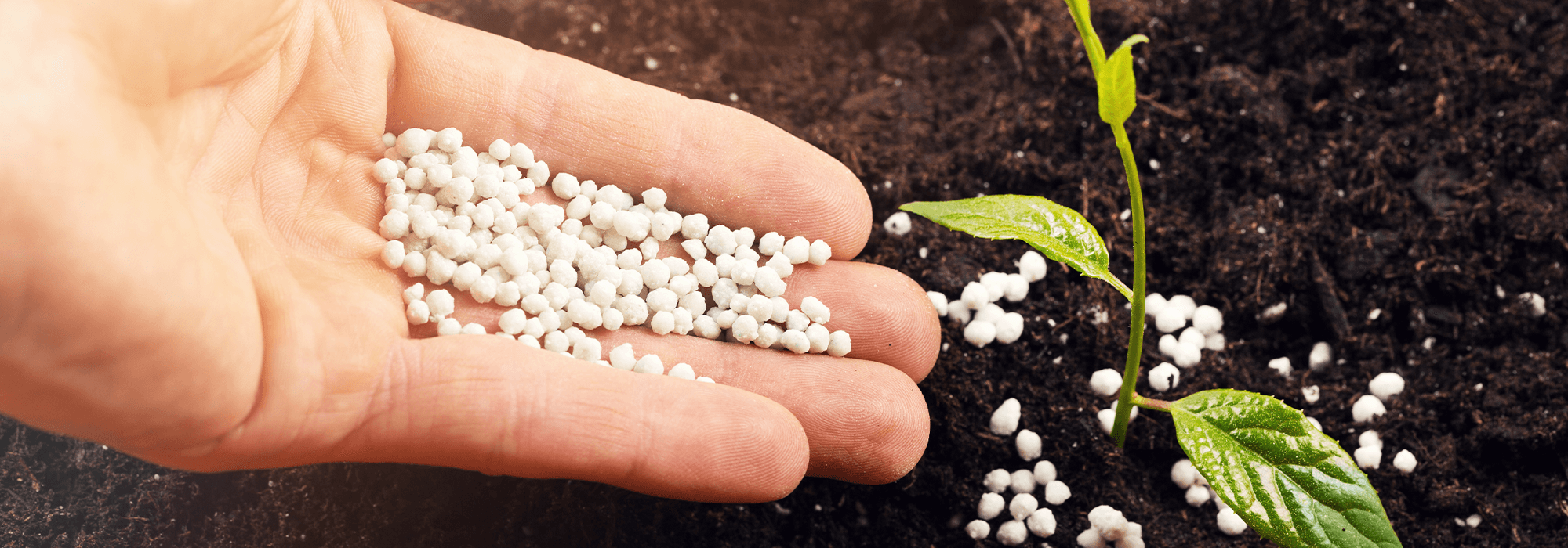 Comment bien choisir son engrais ? - Cdiscount