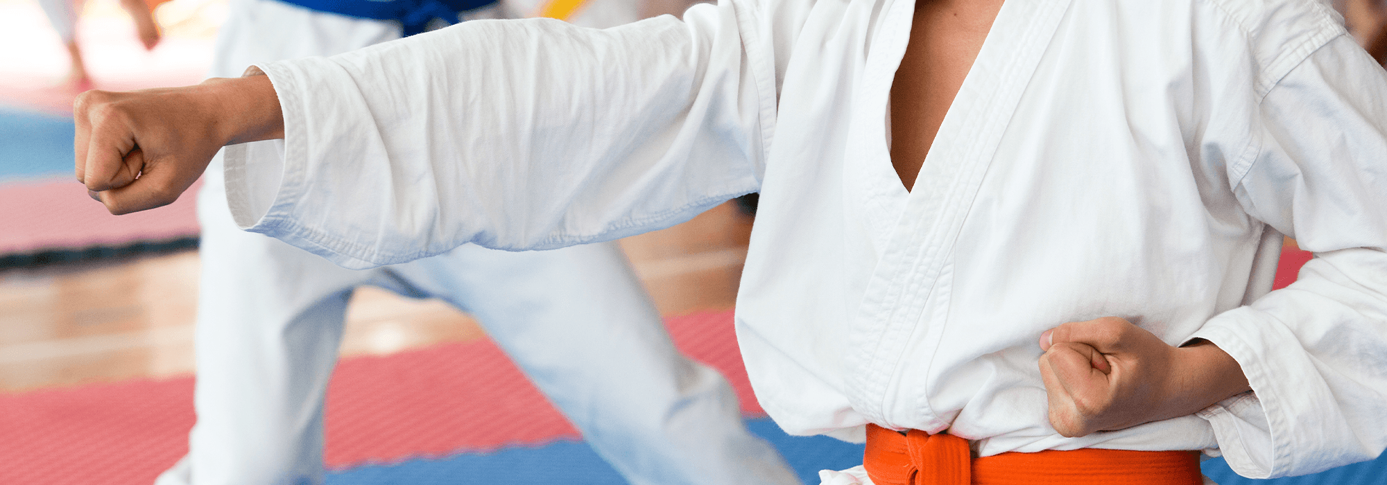Karaté : comment bien s’équiper ? - Cdiscount