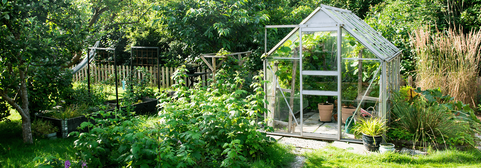 Comment aménager une serre de jardin ? - Cdiscount