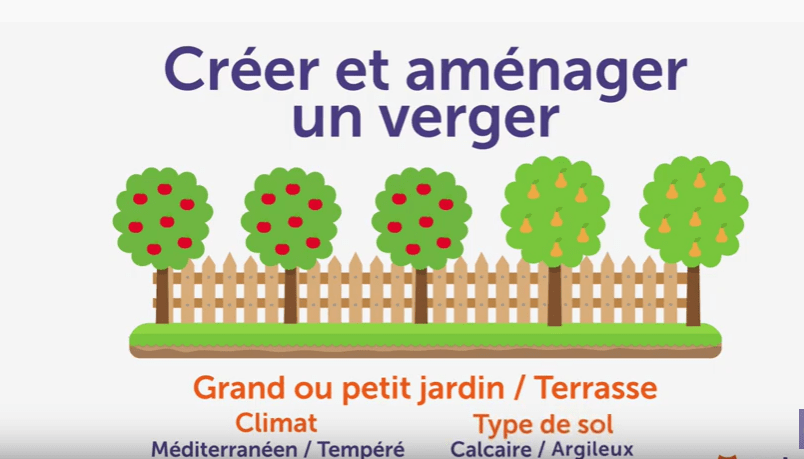 Comment créer un verger ? - Cdiscount