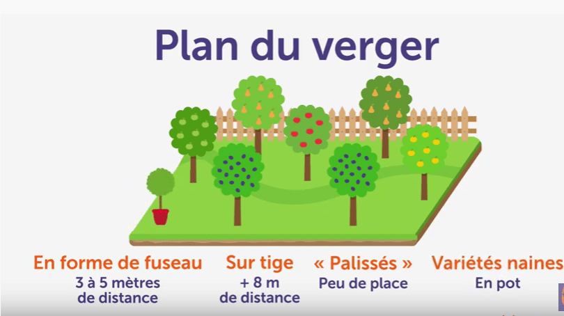 Comment créer un verger ? - Cdiscount