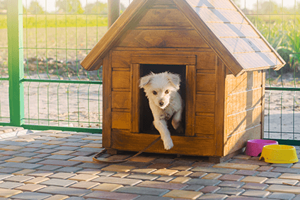 Niche Chien Bois Fait Maison | Ventana Blog