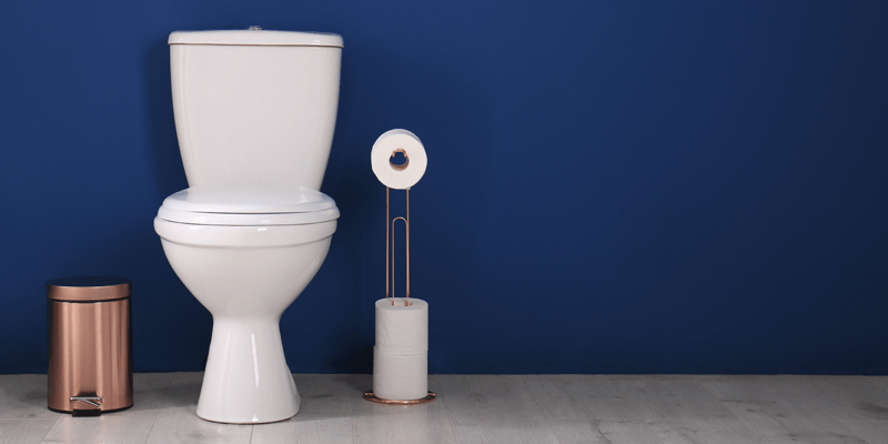 Comment transformer ses WC en espace déco ? - Cdiscount