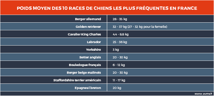 Comment bien nourrir son chien ? - Cdiscount