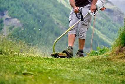Débroussailleuse sur roues - Thermique, électrique, sans fil ...