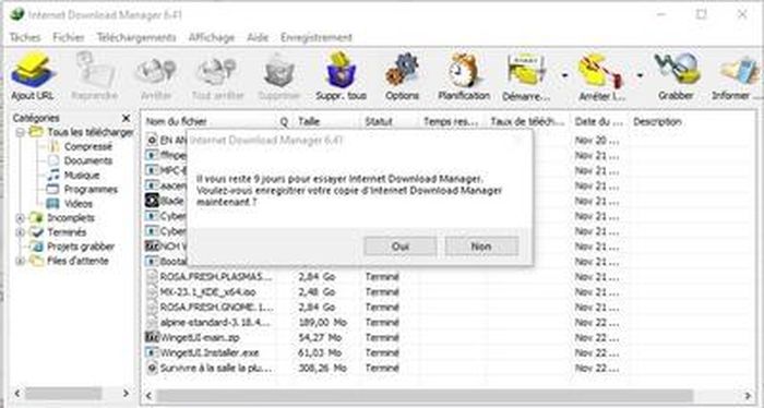 IDM Internet Download Manager Valable a vie Pour Windows uniquement à ...
