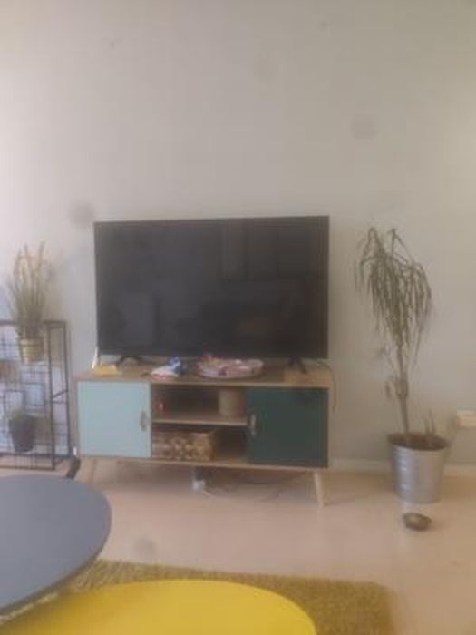 Meuble TV 113 cm scandinave ALIZE bois et vert - Cdiscount Maison