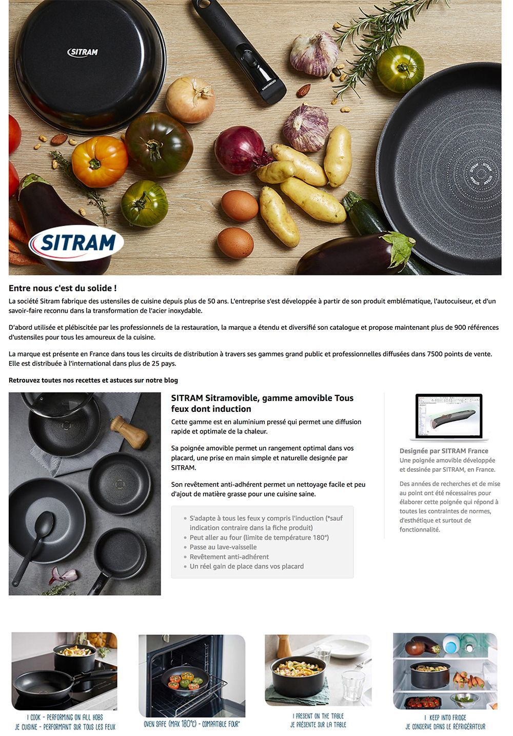 SITRAM - SITRAMOVIBLE BLACK PEPPER - 712773 - Manche amovible ...