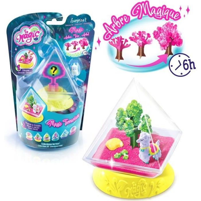 SO MAGIC DIY - Mini terrarium à faire pousser - CANAL TOYS - Modèle ...