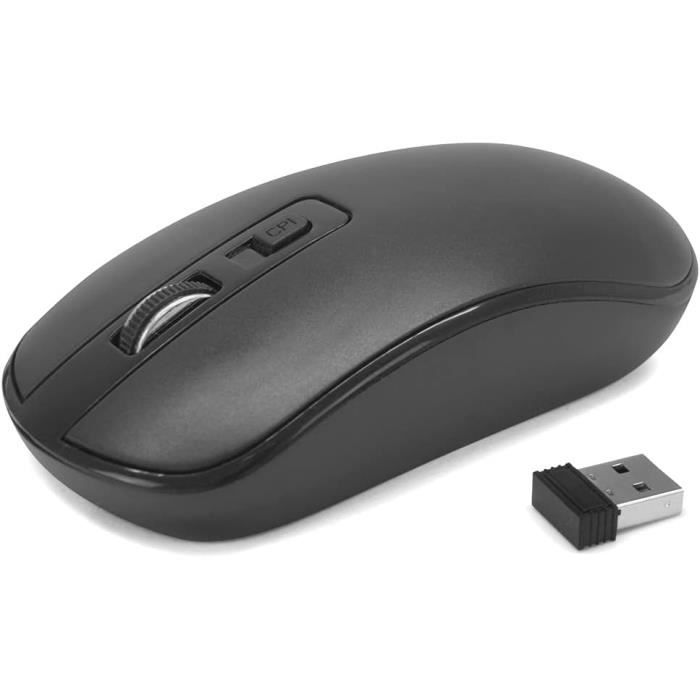 65420 Souris Sans Fil 2,4 Ghz Pour Ordinateur Avec Nano Récepteur Usb ...