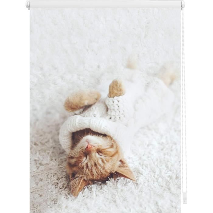 Klemmfix Store Enrouleur Occultant Avec Motif Sleepy Cat Blanc Montage ...