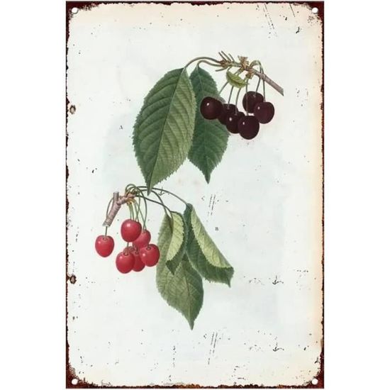 Plaques en métal Vintage -Herbes Anciennes et Cerises,Art Mural ...