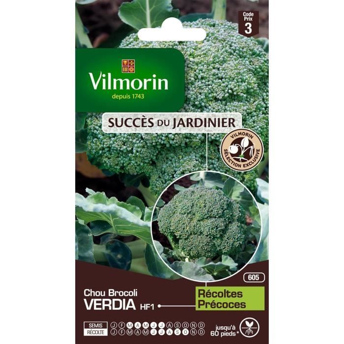 Pack de Graines Chou Brocoli Verdia HF1 Création.[G433] - Cdiscount Jardin