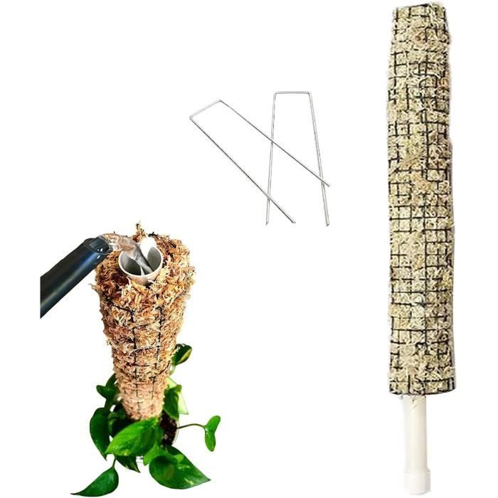 Enjeux de Plantes Monstera | Tuteurs de Plantes Pliables Sphaigne ...