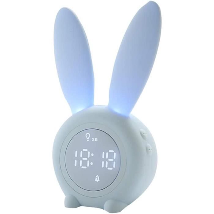 Reveil Pile Radio Reveil Mini avec Veilleuse Reveil-Matin Gel De Silice ...