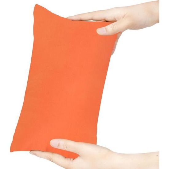 Mini Coussin 27,9 X 17,8 Cm, Lavable En Machine, Petit Coussin De ...