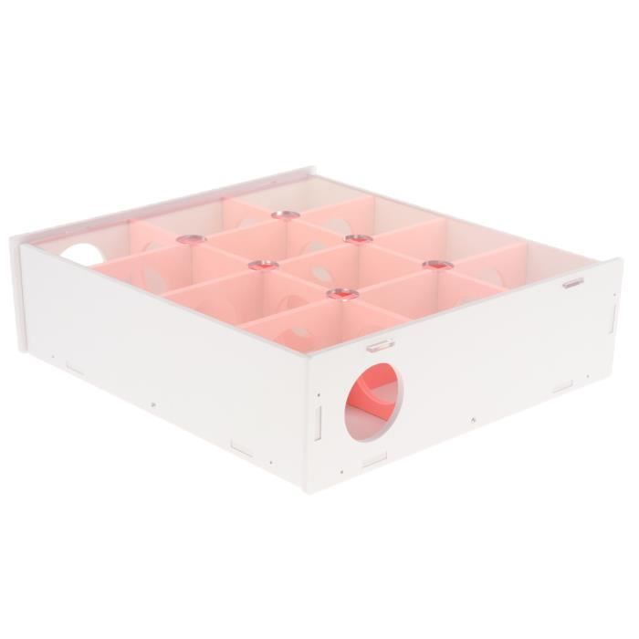 Labyrinthe Tunnel jouet Petit Animal d'activité Sport Jeu pour Hamster ...