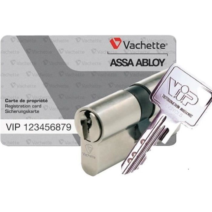 brosse Coopérative mouchoir cylindre serrure vachette assa abloy ... brosse Coopérative mouchoir cylindre serrure vachette assa abloy ...