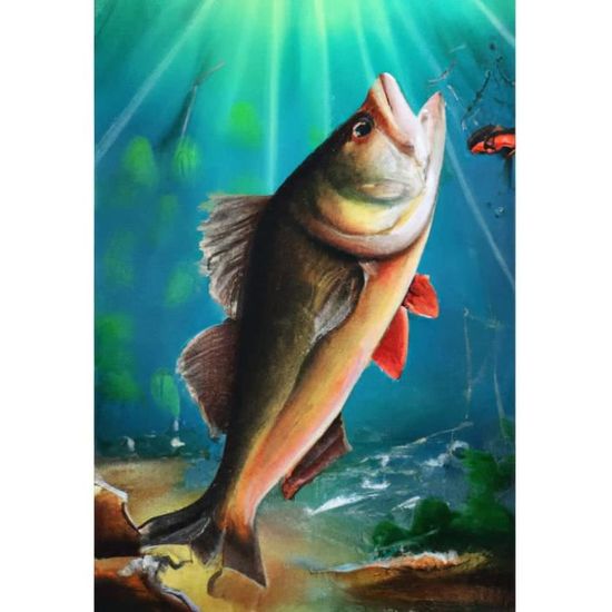 DIY Kits de Peinture Diamant de Poisson 5D Peinture Diamant Kit 20*30CM ...