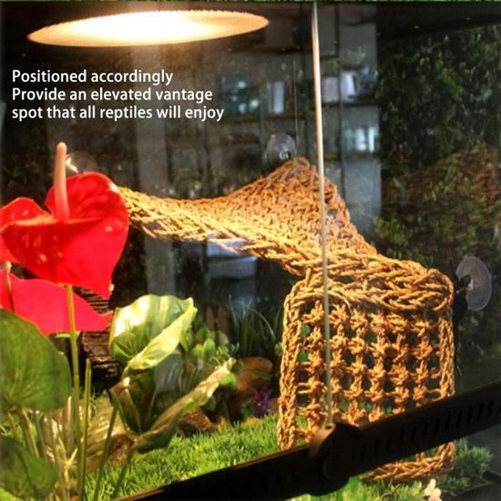 KEENSO Triangle Reptile Hamac Lézard Hamac Animal Rampant Tapis ...