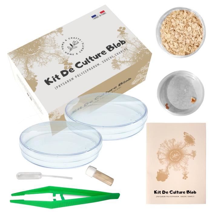 Kit Blob - Kit Blob vivant - Kit de culture et d'élevage BLOB (Physarum ...
