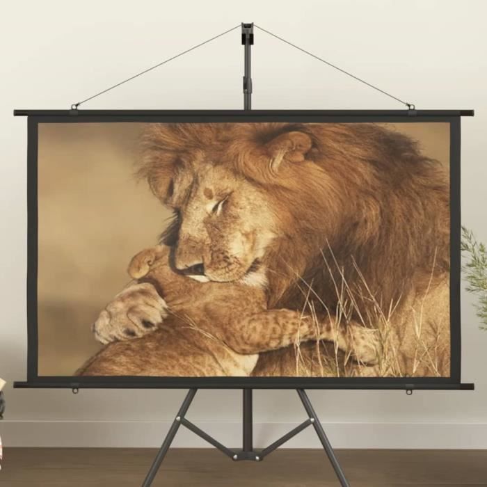 Garnaco Écran de projection 60' 16:9 85433 - Cdiscount TV Son Photo