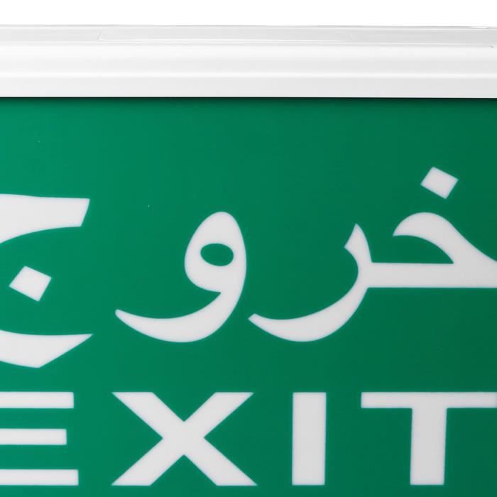 Voyant de sortie Lampe de Secours avec Indicateur de Sortie à LED Verte ...