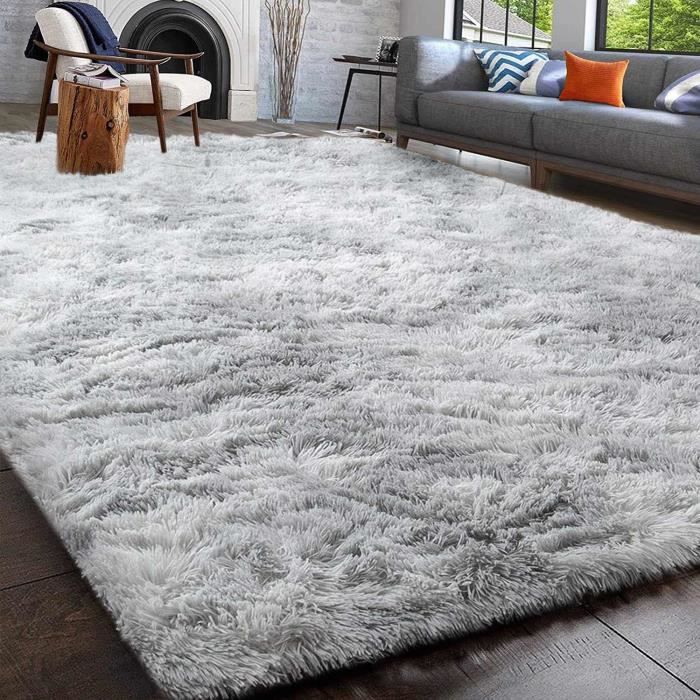 Tapis Salon Tapis Modernes De Salon Soft Tapis À Poils Longs Moelleux ...