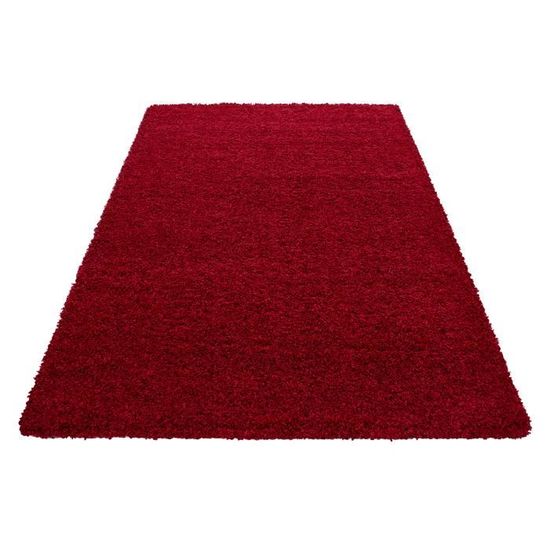 Teppium Tapis shaggy à poils longs unicolore Tapis unicolores pour le salon [Rouge, 120 x 120 cm ...
