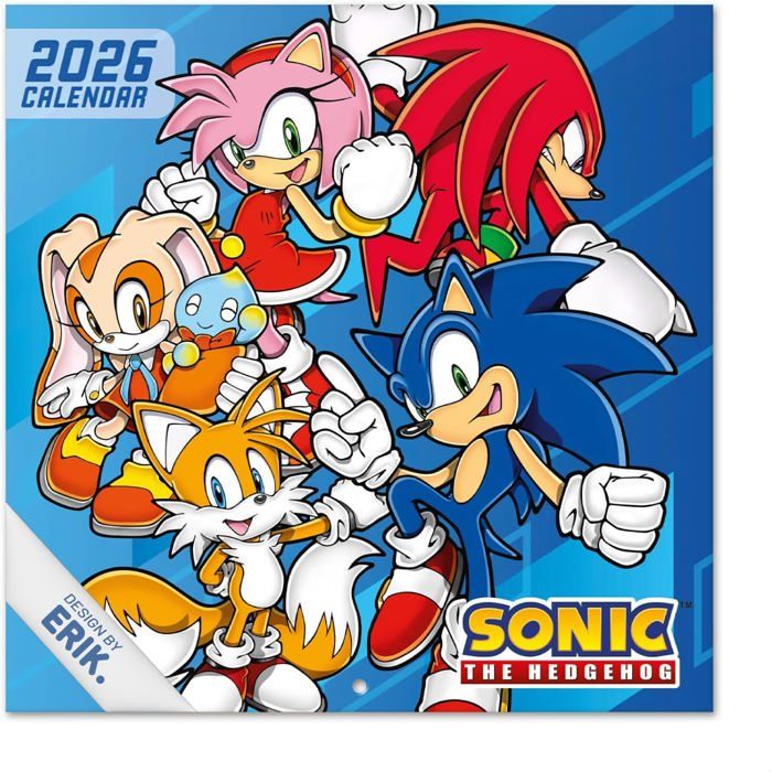 Calendrier mural 2026 Sonic mensuel idéal cadeau espace notes et ...