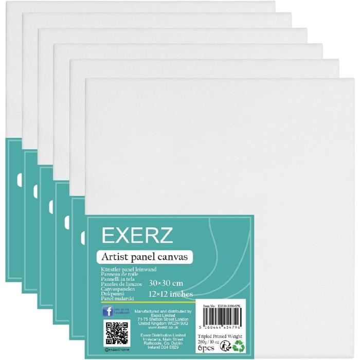 Panneaux de Toile 6 pièces- 30 x 30cm- 3mm- Cartons entoilés-Toile à ...