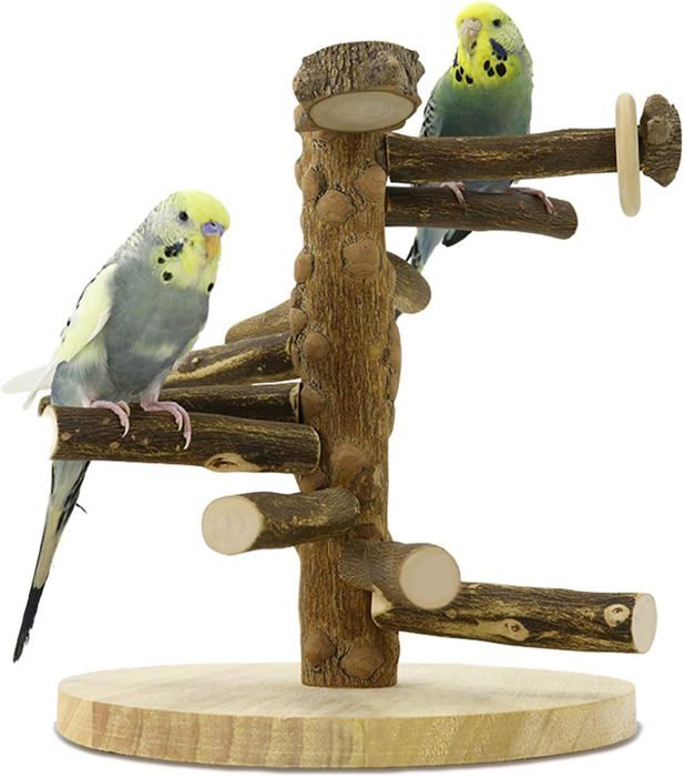 Aire De Jeux Pour Oiseaux Terrain De Jeu Pour Perroquet Avec Support ...