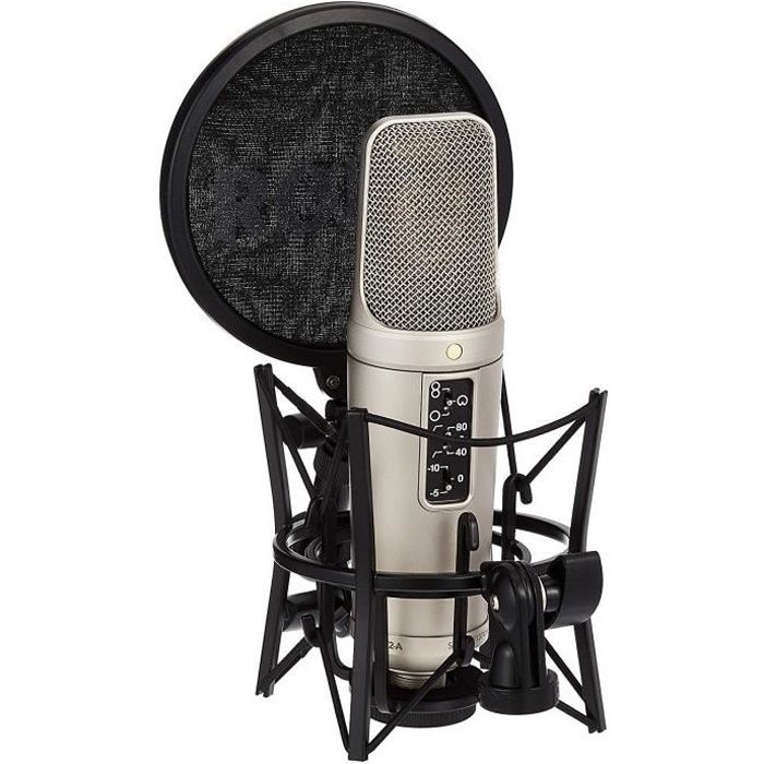 Rode NT2-A Pack Microphone à ruban avec étui et adaptateur de support ...