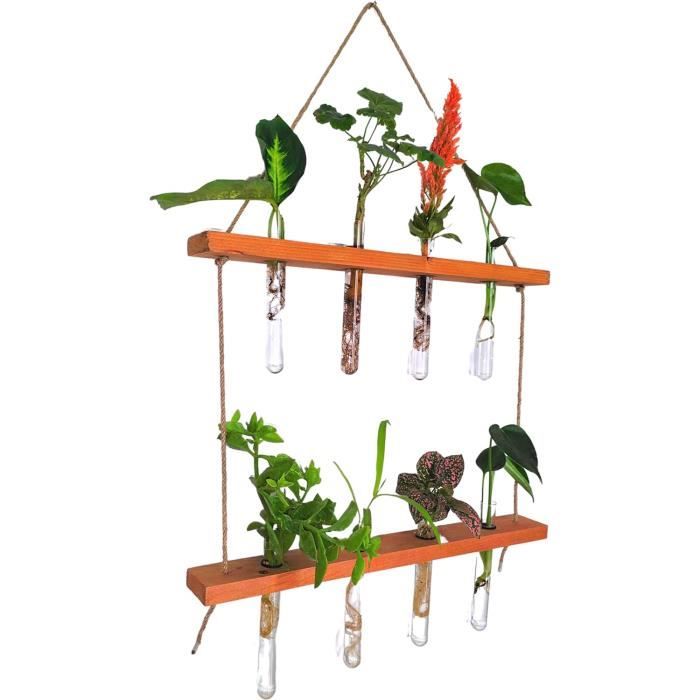 Terrarium Mural En Verre Avec Support En Bois Pour La Maison Et Le ...