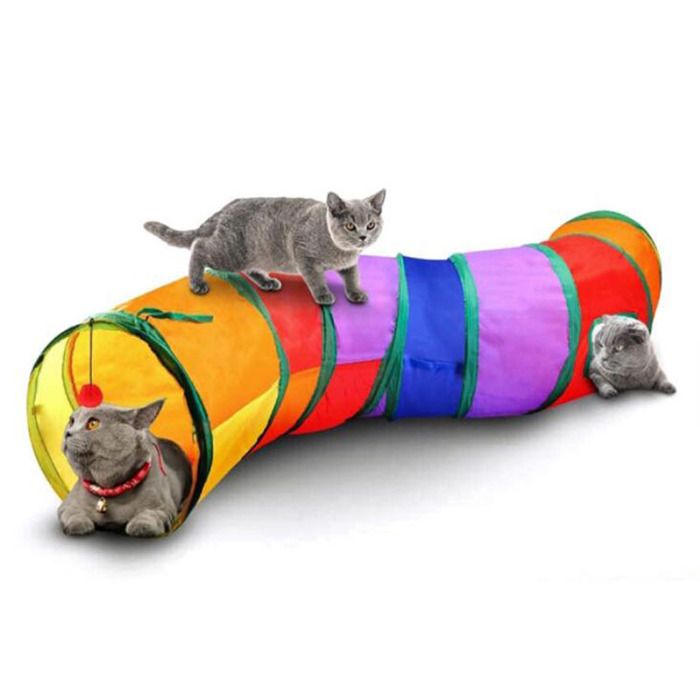 Tunnel interactif pour chat d'intérieur - Jouet pour animaux ...