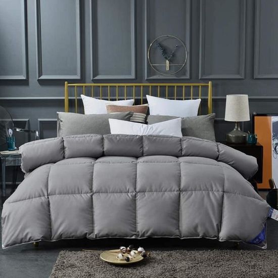 Couette Plume Doie Couette Coton Hiver Noyau Chaud en Velours d'agneau ...