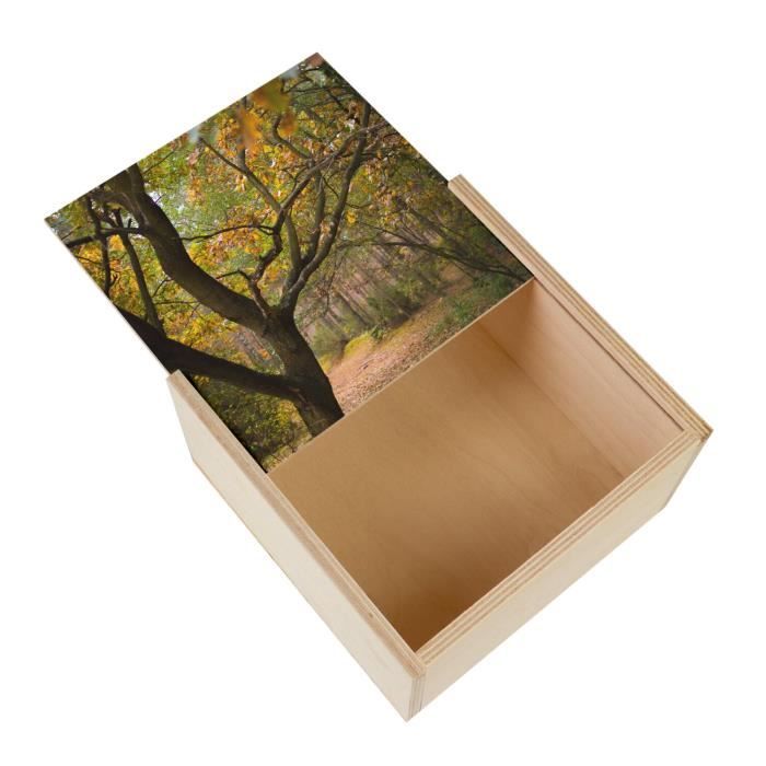 Boite Coffret en Bois - Forêt D'Automne Chêne Paysage Nature Sauvage ...
