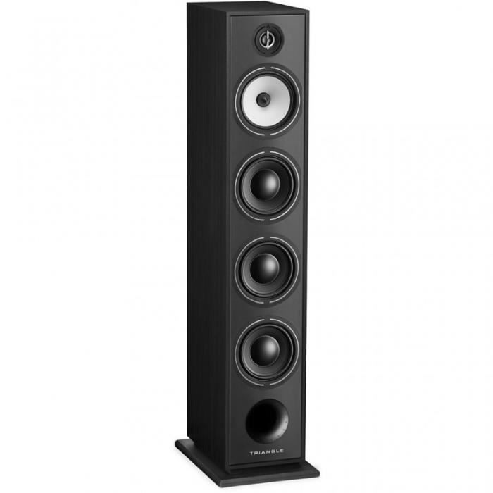 Triangle Enceinte colonne Boréa BR09 noire - Cdiscount TV Son Photo