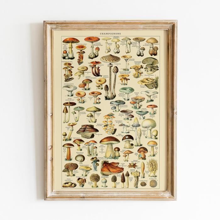 Poster Impression D'Art Élégante Pour Votre Maison - Images Vintage ...