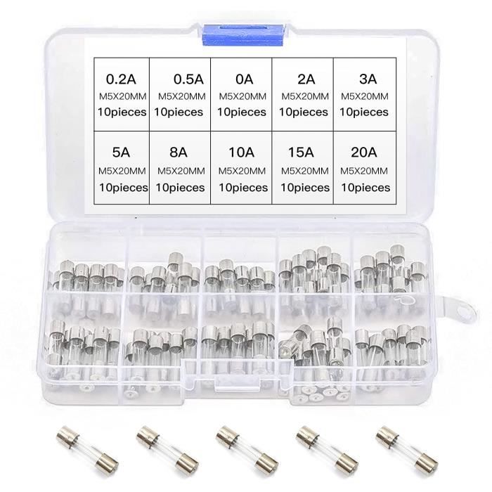 Kit de 100pcs Fusible en Verre, 5 x 20MM Ensemble de tube Fast-blow Fusibles 0,2~20A pour ...