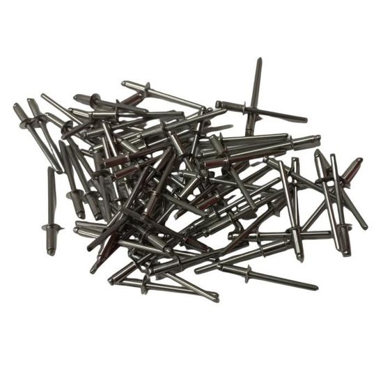Rivet en inox A2 Tête Normal Taille 4,8x16mm ( Lot de 100 ) - Cdiscount ...