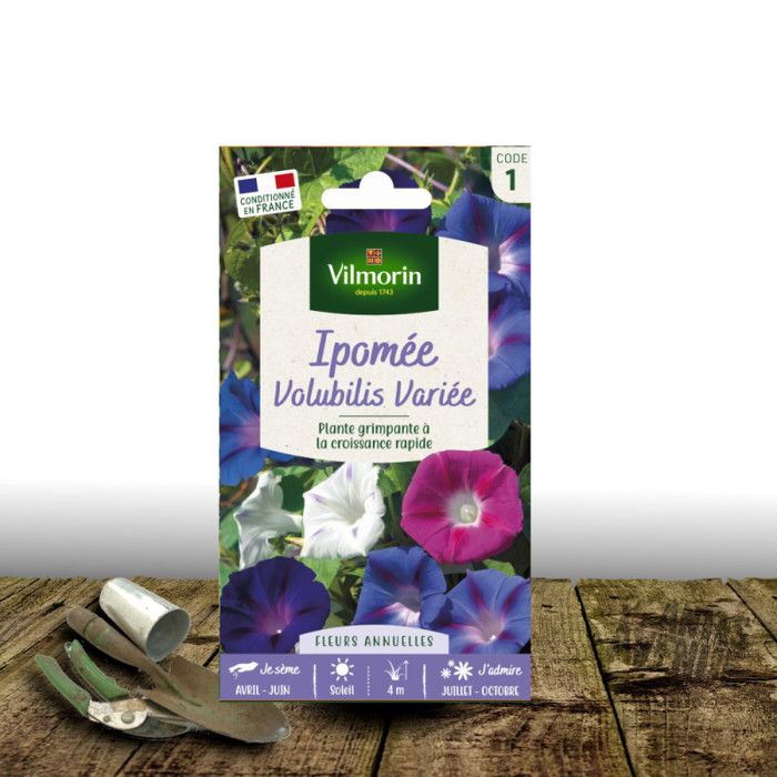 Graines d'ipomée volubile variée - Vilmorin - Cdiscount Jardin