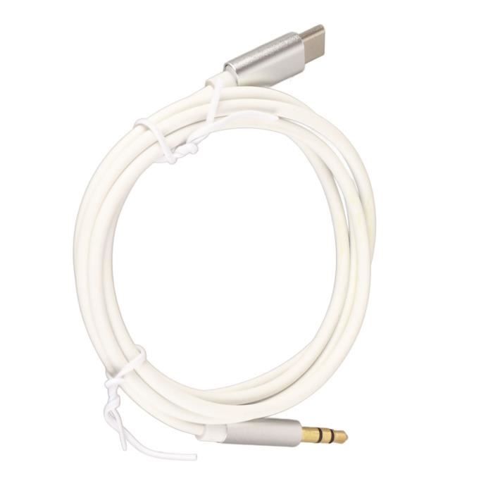 Qiilu Cable USB C vers Jack 3.5mm Adaptateur Stable - Son Stéréo pour ...