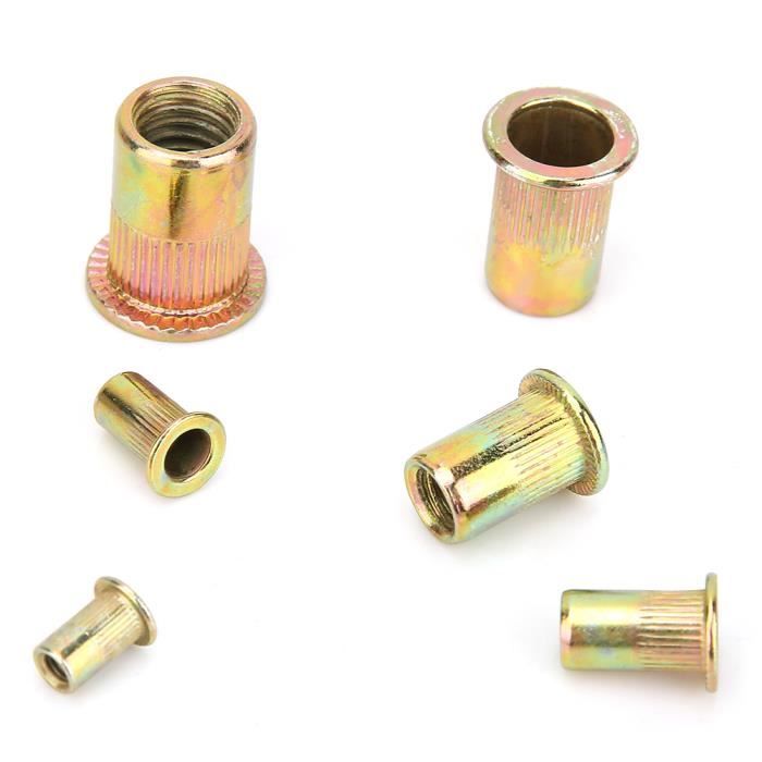 Écrou à rivet SURENHAP - Kit d'écrou de Rivet en acier au carbone ...