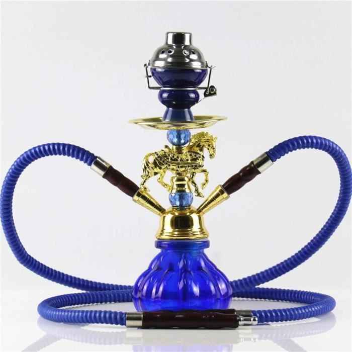 Chicha narguilé - 2 Sorties narguilé Mini 30cm Hookah Trois Couleurs ...